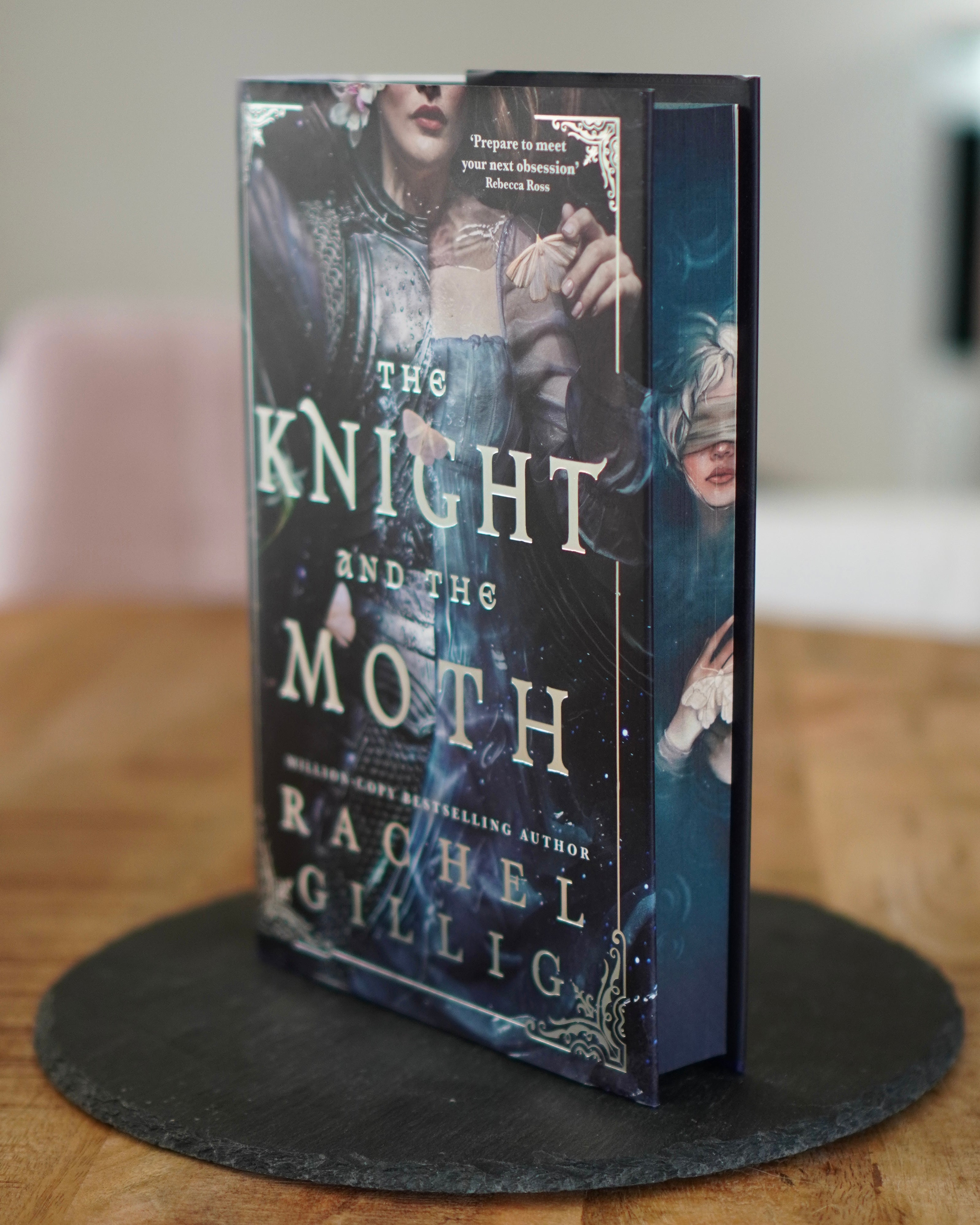 Pre-order Book - the Knight and the Moth – hannabookpaintings